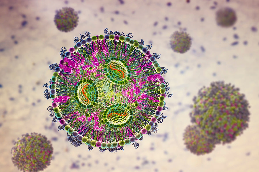 Lipid nanoparticles toxicity: What to consider? – Single Use Support