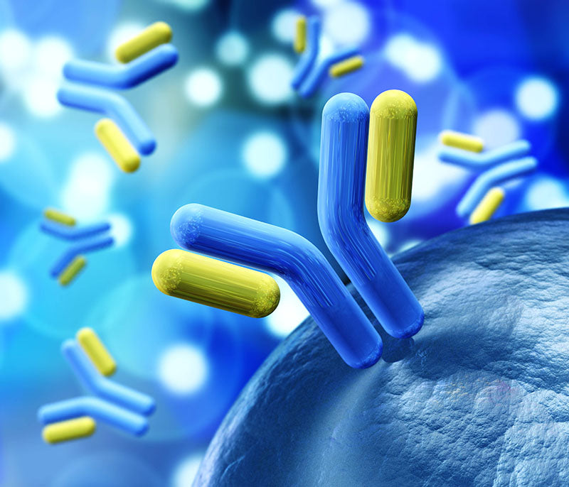 An introduction to therapeutic proteins – Single Use Support