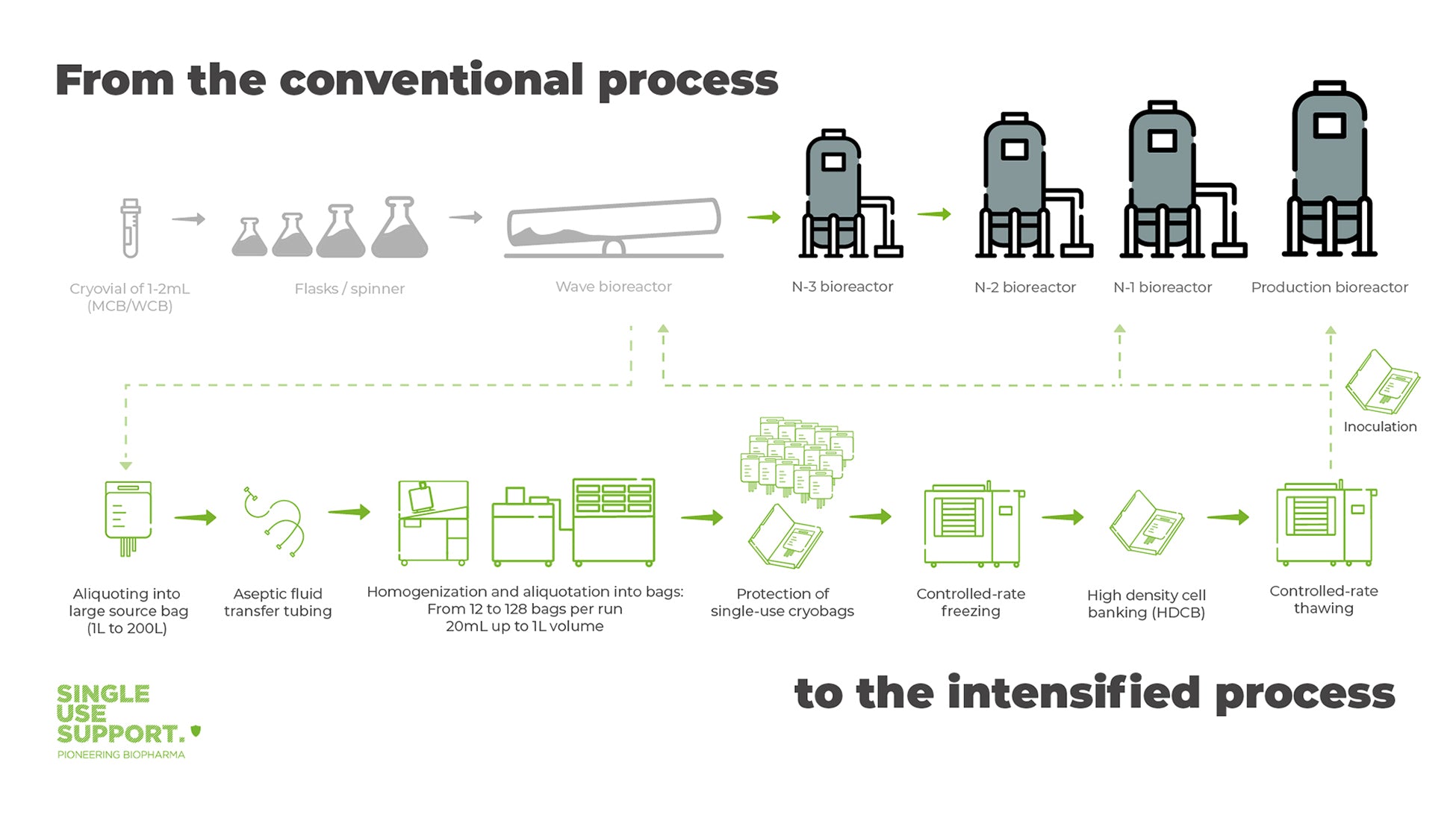 The One Process Solution for Seed Train Intensification – Single Use ...