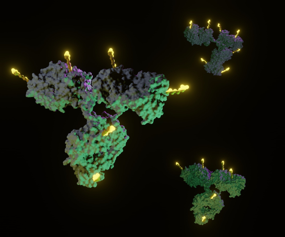 Antibody-drug conjugate market: Who is working with ADCs? Antibody-drug conjugate market: Who is working with ADCs?